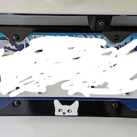 Ditsy Floral on Sage License Plate Frame Car Accessories Flowers ...