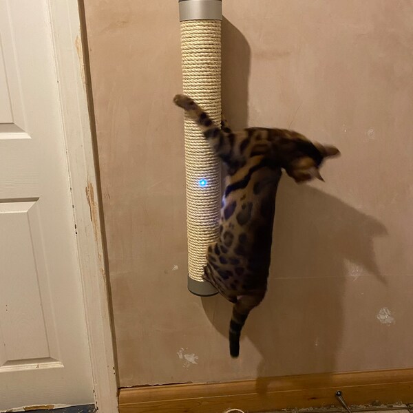 Cat Post for Wall. Modern Scratching Post for Cat. Durable Sisal ...