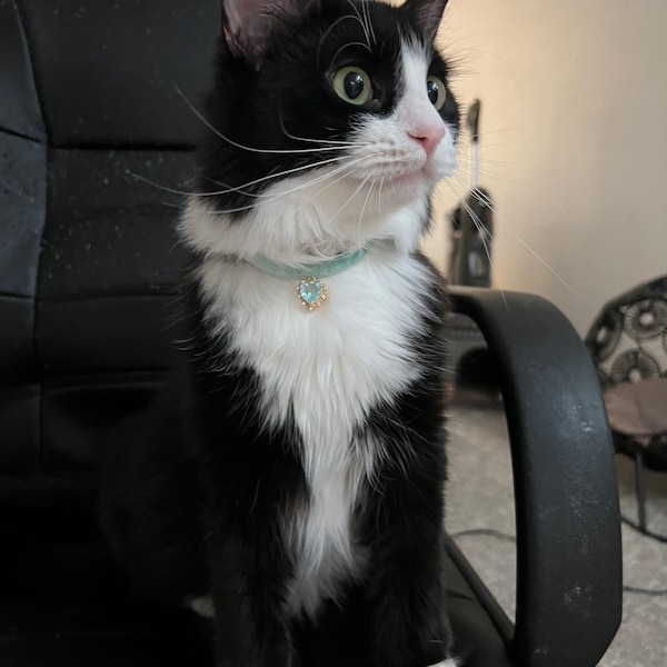 Princess Cat Collar,rhinestone Cat Collar,light Green Velvet Tiny Dog ...
