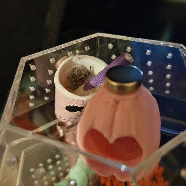 3D Printed Boba Tea Hide Inspired Jumping Spider Platform Hide - Etsy