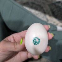 Chicken Face Bumper Sticker Chicken Sticker Chicken Coop Sticker Cute ...