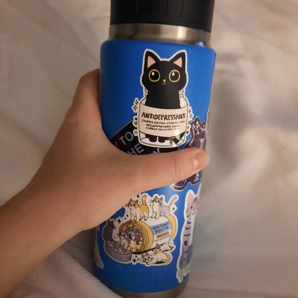 Antidepressant Black Cat Sticker - Emotional Support - Black Cat - Self ...