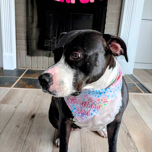American Flag Dog Bandana, Memorial Day/july 4th, Tie & Snap Style ...