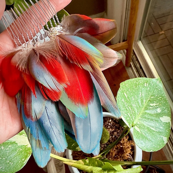 Macaw Feather Hair Combs - Etsy