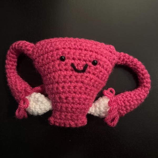 MINI Crochet Stuffed Razorback | Handmade Arkansas Hog Plush | Football ...