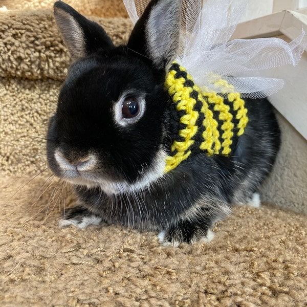 Rabbit Costume, Bumble Bee Costume, Bumble Bee Outfit, Rabbit Clothes ...