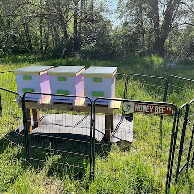 Honey Bee Trail Metal Sign Apiary Sign Honey Bee Sign Funny Bee Sign ...