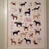 Printable Dogs Alphabet and Numbers Set for a Dog Lover, Dog Alphabet ...