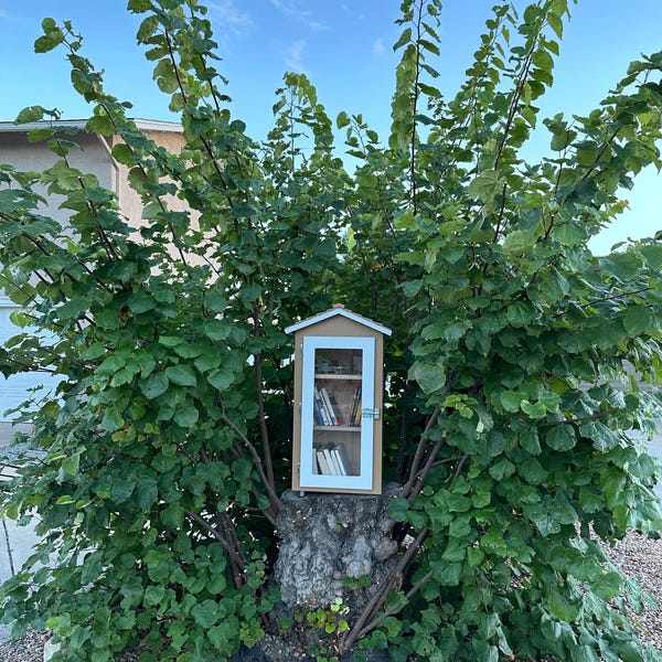Extra Tall Solid Wood Townhouse Library, Little Pantry - Etsy