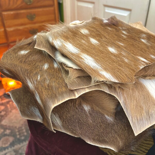 Maison Blanche Paint- Bayou Blue 32oz - Etsy