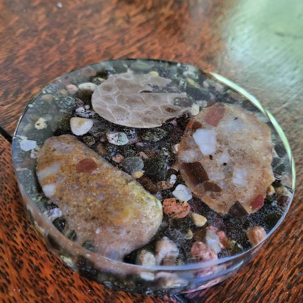 Fossil Soup, Pack Stone, Bryozoan Hash | Souvenir - Etsy