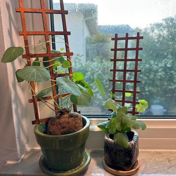 Ladder Indoor Plant Trellis (3 Sizes for 2-6" Pots) | Mini & Small Wood ...