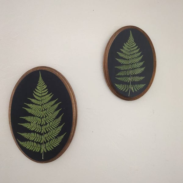 Mini Forest Fern Wall Art | Botanical Fern Wall Hanging | Pressed ...