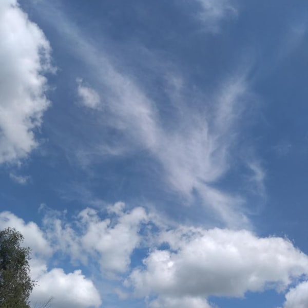 Orgone EMF Protection Pyramid, Om Symbols, Energetic Protection ...