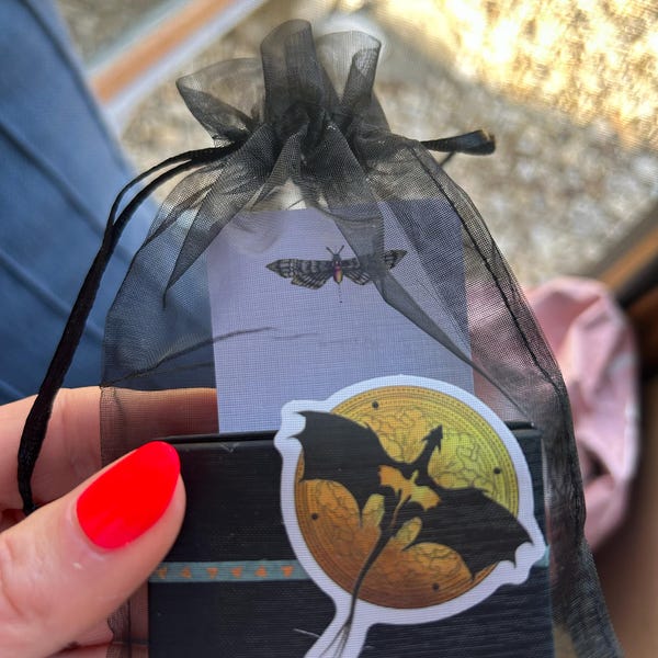 She/her Pronouns Moth Enamel Pin, Pronoun Lapel, Lanyard Pin, Purse ...