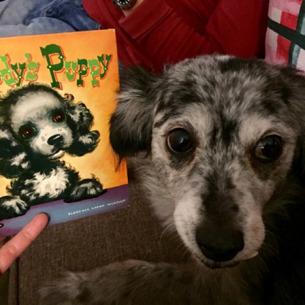 Little Miss Muffet and Other Nursery Rhymes Vtg Rand Mcnally Elf 1956 ...