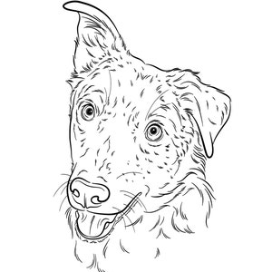 Dog Outline Custom Line Drawing Pet Portrait Full Body - Etsy