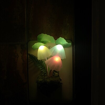Magical Mushroom LED Night Light Color Changing Portable Enchanted ...
