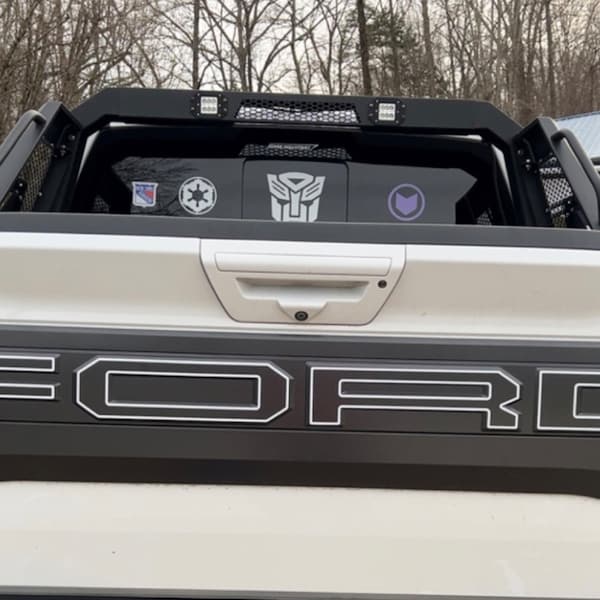 2017-2020 Ford Raptor Tailgate Letter OUTLINES ONLY Vinyl Decals - Etsy