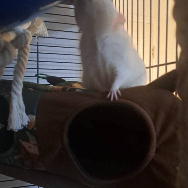 Corner House for Rats, Sugar Gliders, Ferrets, Corner Hammock, Corner ...