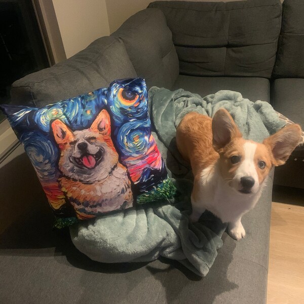 Smiling Pembroke Corgi Dog Lover Starry Night Basic Throw Pillow Art by Aja 16x16 or 20x20 ...
