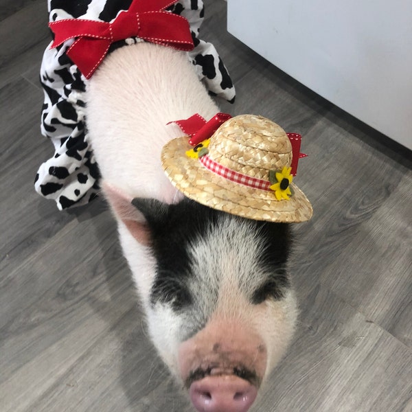 Moo! Skirt & Scarf Set, Pig Clothes, Mini Pig - Etsy