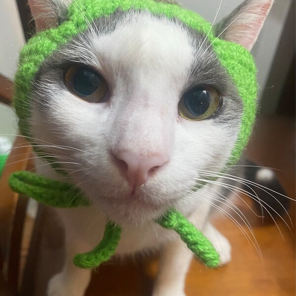 Green Apple Cat Hat Cat Accessories Cat Costumes Cat Supplies Cat ...