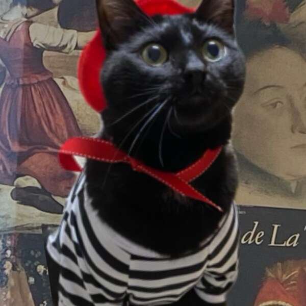 Complete French Cat Outfit Cat Beret, Ascot and Striped Shirt Pet ...