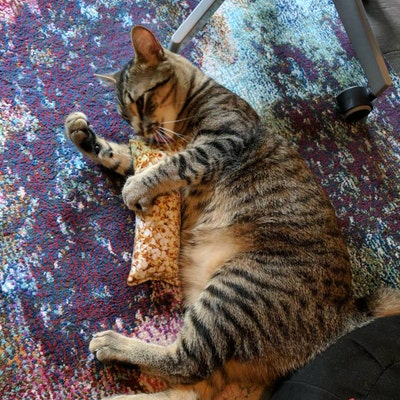 Popcorn Kicker Cat Toy, Catnip Toy, Carnival Popcorn, Movie Theatre ...