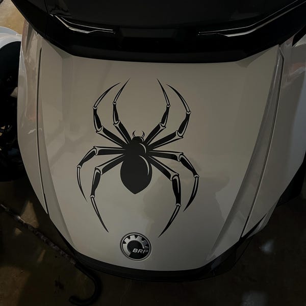 Celtic Spider Decal, Spyder Decal, Laptop Decal, Bumper Sticker - Etsy