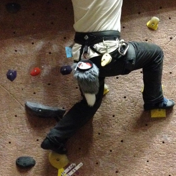 Crimp Chimps Original Friendly Dinosaur Tail Chalk Bag - Etsy