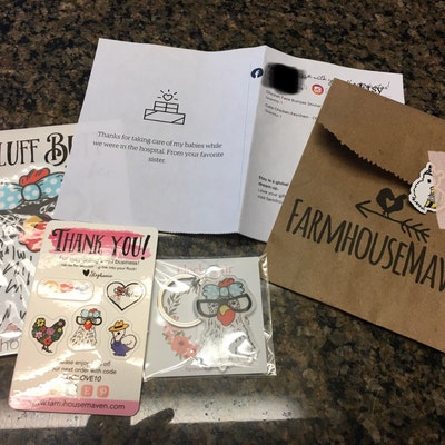 Chicken Face Bumper Sticker Chicken Sticker Chicken Coop Sticker Cute ...