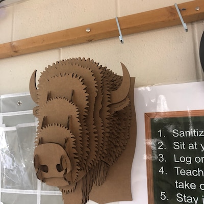 Cardboard Safari Billy Cardboard Bison Head - Etsy