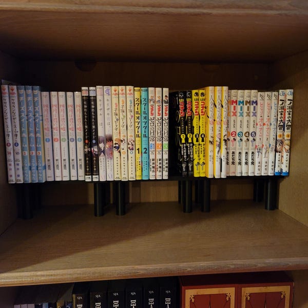 Shelf Riser for Displaying Two Rows of Books on a Single Shelf ...