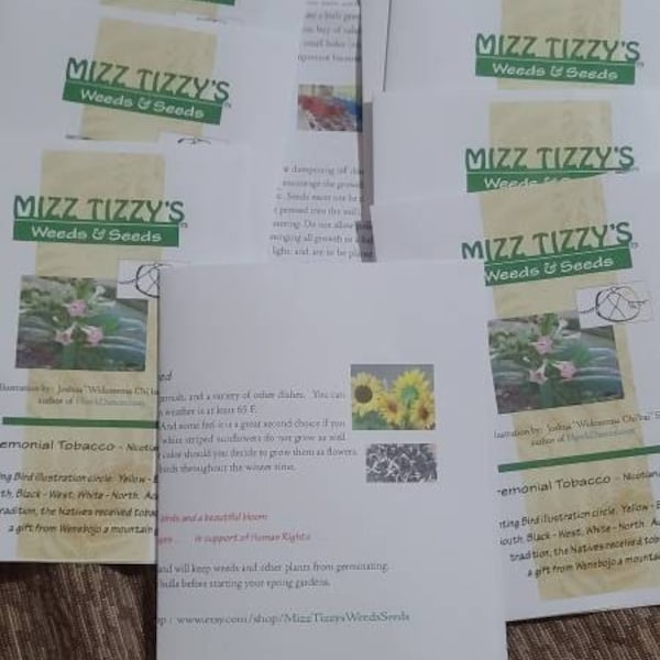 Cherokee, North Georgia Candy Roaster Squash . Cucurbita Maxima - Etsy