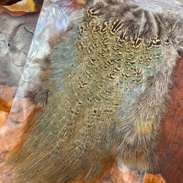 1 Piece - Natural Ringneck Pheasant Complete Rump Patch Feather Pelt ...