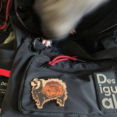 Neopets Paint Brush Darigan Brush Gold Glitter Small Enamel Pin - Etsy