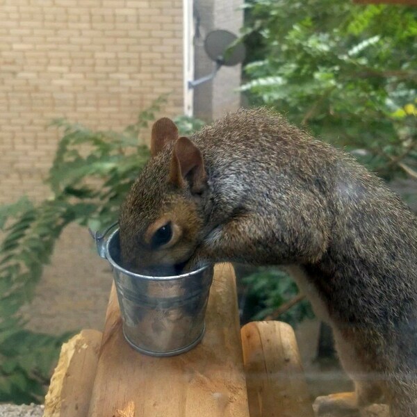 Vintage Chalkware Wall Plaque; Devonware Wall Art Made in Canada; Hand ...