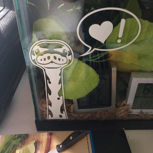 Peeking Ball Python Decal Periscoping Snake, Serpent, Boa, Reptile ...