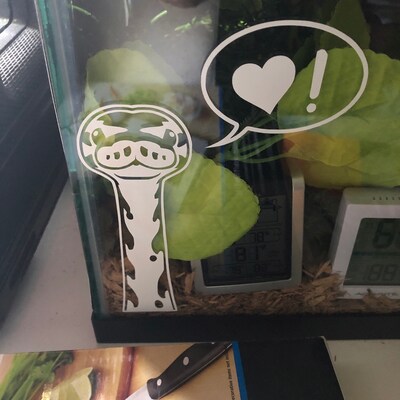 Peeking Ball Python Decal Periscoping Snake, Serpent, Boa, Reptile ...