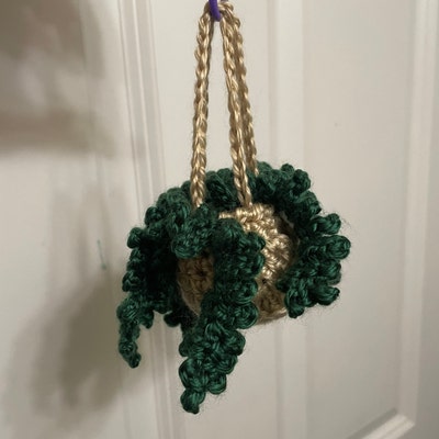 Car Fern Crochet PATTERN by Pamelambie Car Plant - Etsy