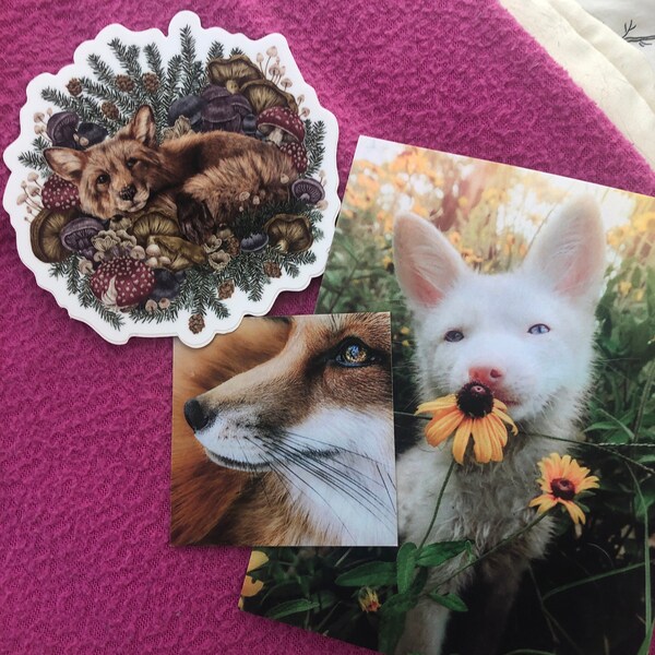 Fig the Fox Weatherproof Sticker - Etsy