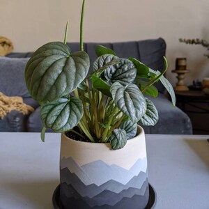 Carved Mountains Handmade Ceramic Succulent Pots Clay Pottery | Etsy