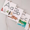 Watercolor Nature Alphabet Banner Classroom Decor - Etsy