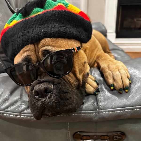 Thneed Stash Buster Pattern Pdf Download - Etsy