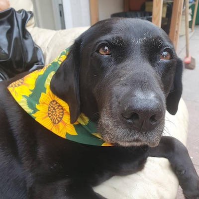 Tutorial/pattern Hanging Diaper Caddy PDF Instant Download Diaper Tent ...