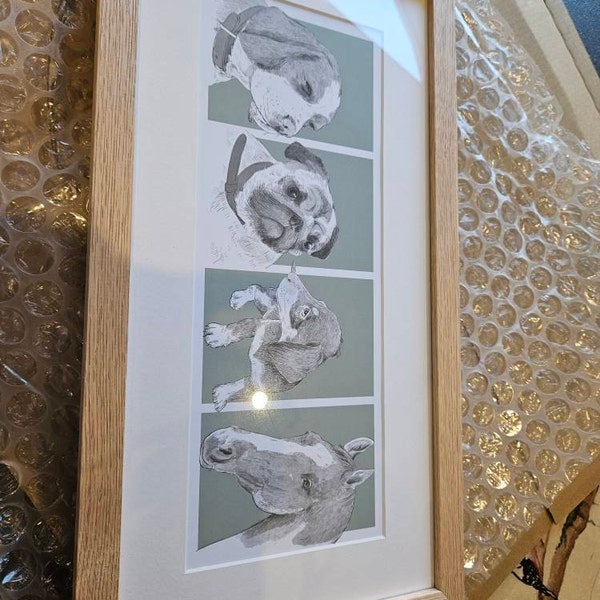 Custom Bespoke Story of Our Pets Illustration Portrait Pencil Drawing ...