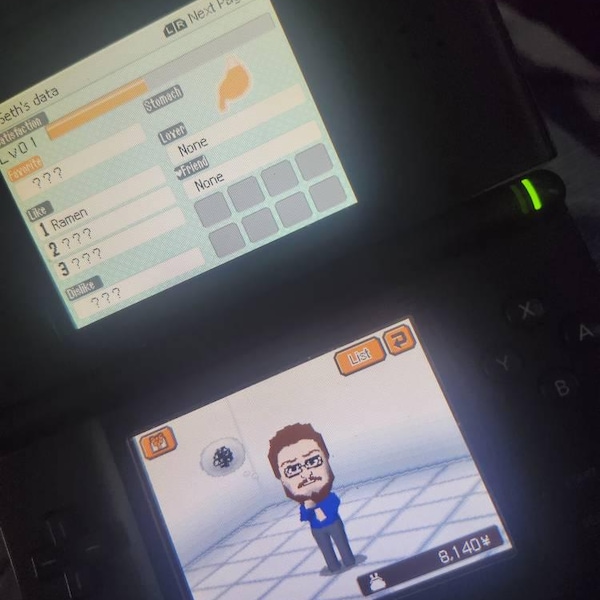 The Nameless Game English DS Cartridge (compatible in DS and DS Lite ...