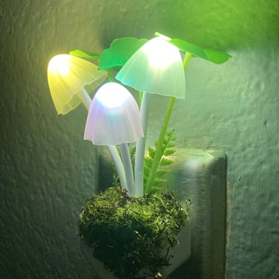 Magical Mushroom LED Night Light Color Changing Portable Enchanted ...