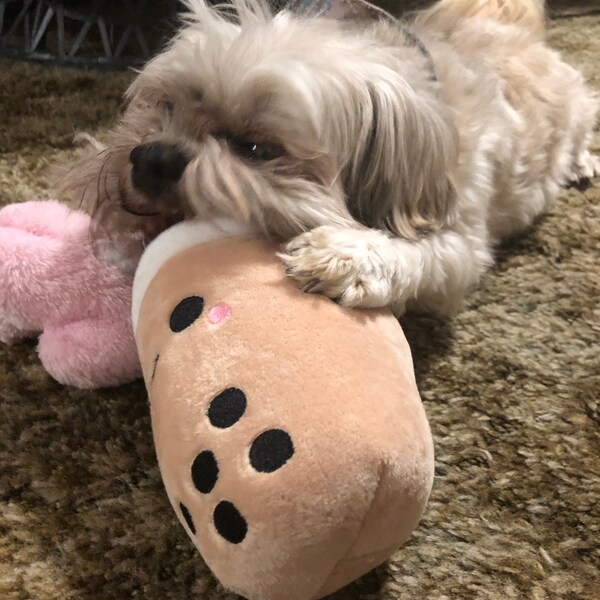 Cute Xiao Long Bao Dog Toy With Squeaker Cute Kawaii Chinese Dumpling ...